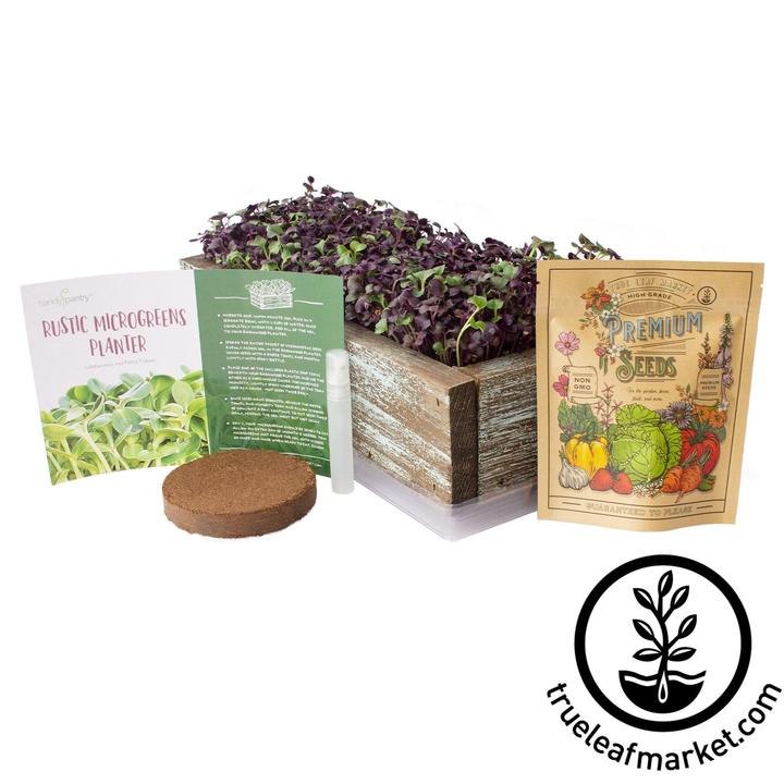 Top 5 Microgreen Growing Kits Made and Shipped in the USA + Bonus Mini ...